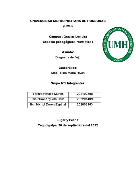 Diagrama De Flujo Informatica Pdf Algoritmos Programación De Computadoras