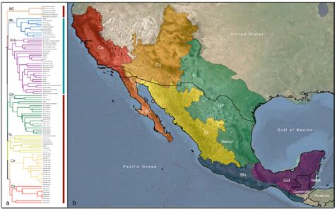 A Results Of The Upgma Clustering Analysis Based On 499 Species Of