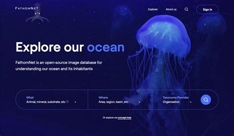 Introducing Fathomnet New Open Source Image Database Unlocks The Power Of Ai For Ocean
