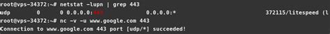 Litespeed Quic Enabling Stack Overflow
