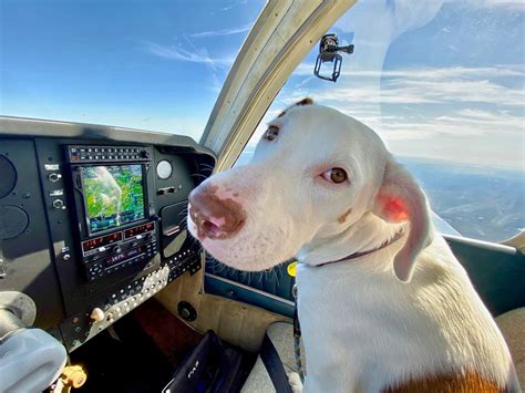 Dundalk High School Dundalk High School Cheerleading