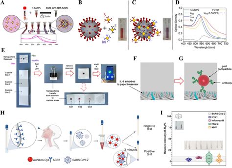 A D A Colorimetric Biosensor With Aunp For Detecting Sars‐cov‐2 Download Scientific Diagram
