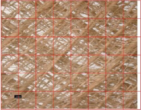 Representation Of The Grid Used In The Design Of Sub Images For Download Scientific Diagram