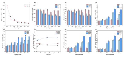 Tet Removal And Plant Physiological Response Due To Tet Induced Stress