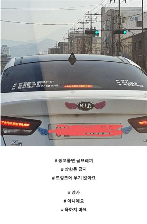 가짜 광기 진짜 광기 유머 움짤 이슈 에펨코리아