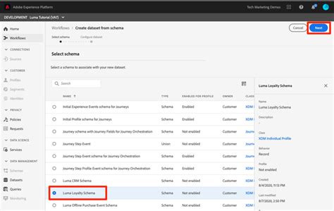 create datasets adobe experience platform