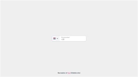 Phone Number Input Field