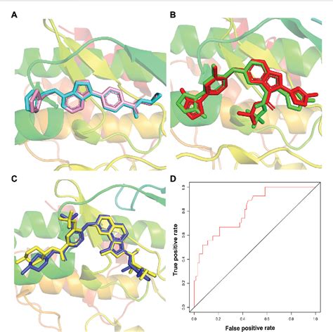 Figure 1 From Combined 3d Qsar Molecular Docking And Dynamics