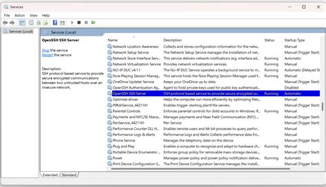 Installing The Microsoft Provided Ssh Server Software On A Windows 11 System