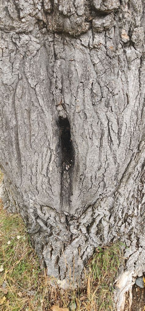 Forbidden Pussy Rdontputyourdickinthat