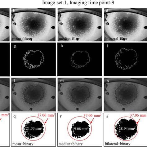 preprocessing of images a original grayscale image b e filtered