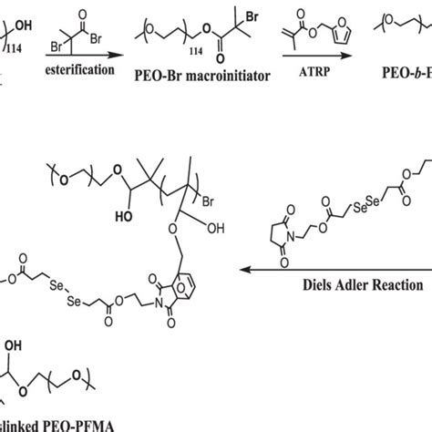 Illustration Of A Synthesis Of Janus Type Pamam Amphiphiles Download Scientific Diagram