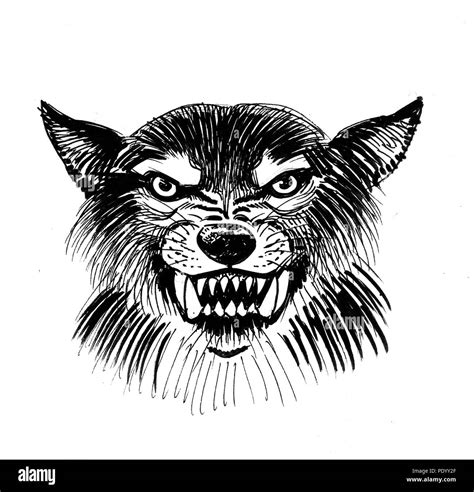 Angry Black Wolf Drawing