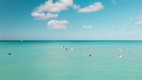 고요함 그룹 활동 낮 레저 레크리에이션 맑은 날 맑은 날씨 맑은 하늘 모험 바다 바다 경치 바다 모험 바다 위의 성인들 밝은 날 사람 서퍼 서핑