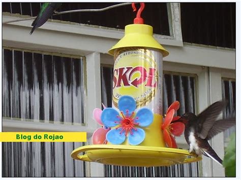 Rojão Agua Que O Passarinho Não Bebe