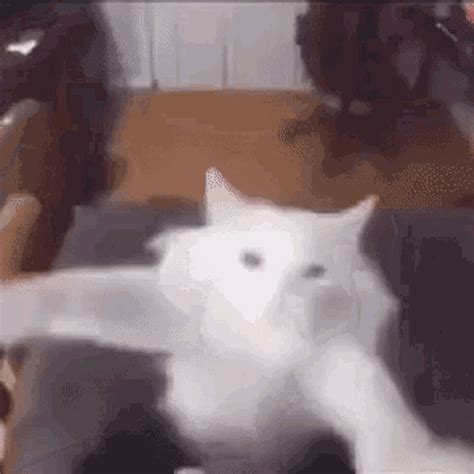 Dancing Cat  Ice