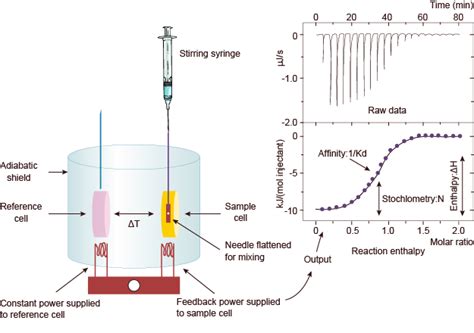 Itc Assay Service Medchemexpress