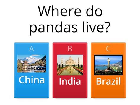 Pandas Quiz