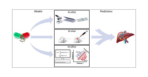 Advancing Predictive Hepatotoxicity At The Intersection Of Experimental