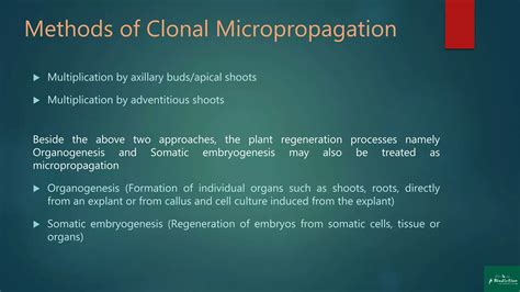 Clonal Propagation Introduction Techniques Factors Applications And Disadvantages Pptx Clonal Propagation Introduction Techniques Factors Applications And Disadvantages Pptx