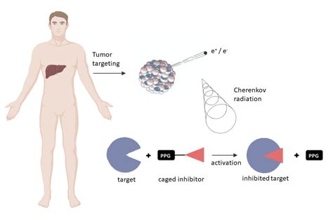 Photopharmacological Applications For Cherenkov Radiation Generated By