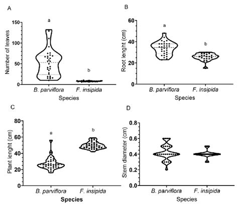 violin plot interquartile and median showing the number of leaves