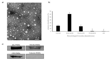 Evaluation Of Exosomal Coding And Non Coding RNA Signature In Obese Adolescents