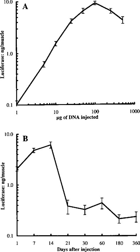 Table 2 From An Improved Plasmid Dna Expression Vector For Direct Injection Into Skeletal Muscle