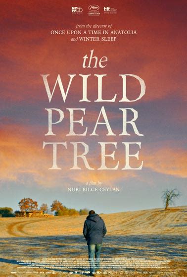 The Wild Pear Tree The Cinema Guild