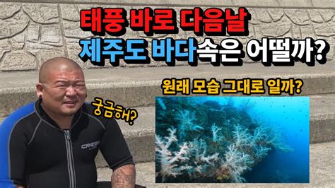 제주도 태풍 바로 다음날 바다속 상태는 어떨까 Youtube