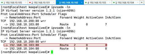 Lvskeepalived高可用群集 Csdn博客 Lvskeepalived高可用群集 Csdn博客