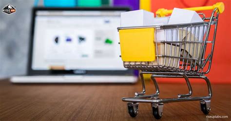 Ecommerce Support Services Riseup Labs