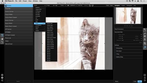 15 Best Photoshop Plugins Free And Paid For 2023