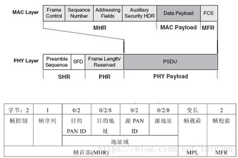 第三章：zigbee学习笔记之物理层和mac层帧格式分析 zigbee数据包格式 csdn博客