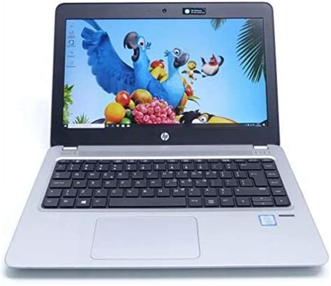 Hp Probook G Notebook Business Laptop Intel Core I Th Gen Cpu Gb Ddr Ram Gb Ssd