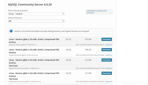 xshell后台跑jar包与一些常用命令 xshell运行jar包 csdn博客