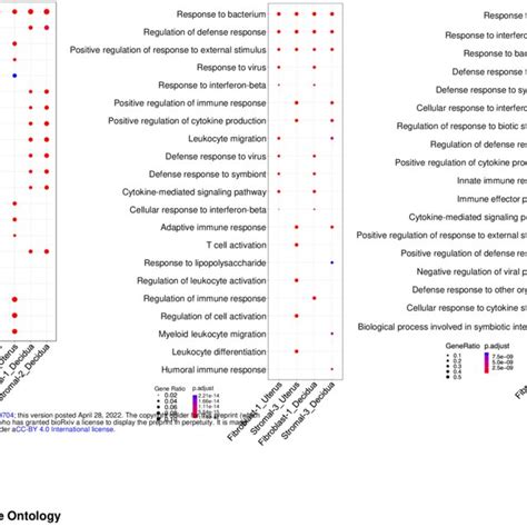 Figure Supplement 2 The Uterus And Decidua Share Enrichment Of