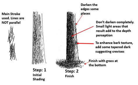 Https Pendrawings Files Wordpress Com Trunk Method Gif Arbre Dessin