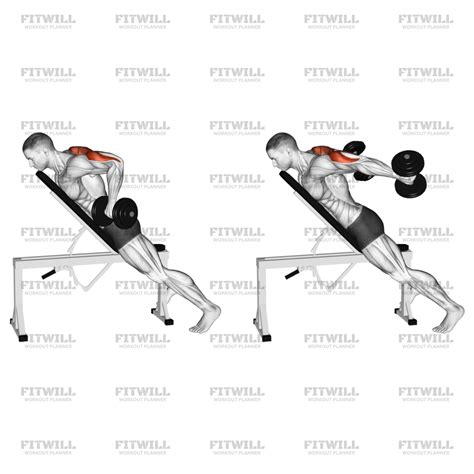 Dumbbell Prone Triceps Kickback Exercise Guide Techniques Benefits