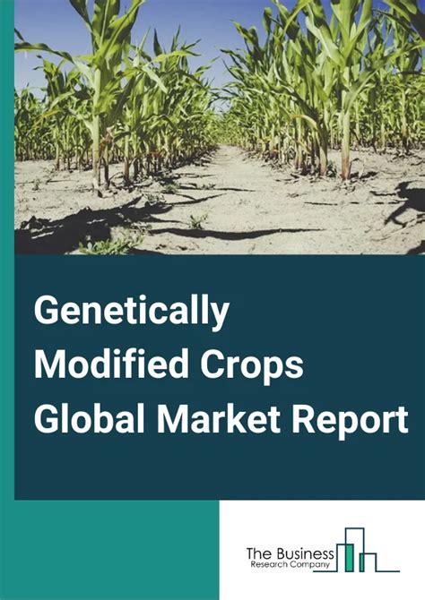 Genetically Modified Crops