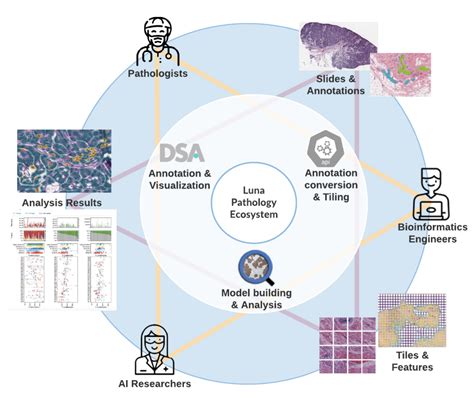 About Luna Luna Multi Modality Oncology Data Analysis In Python