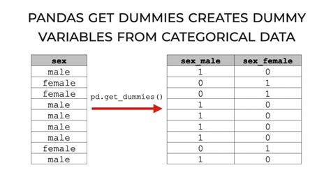 How To Use Pandas Get Dummies In Python Tech Code Camp