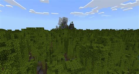 Large Mangrove Swamp Biome Seed For Minecraft