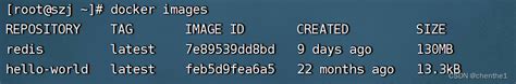 Docker中安装redis最新版本 设置密码 Csdn博客