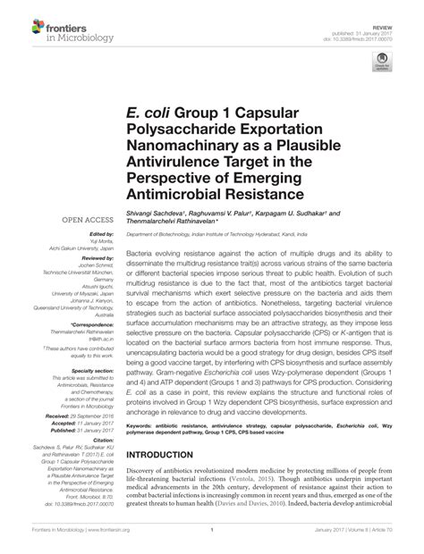 Pdf E Coli Group 1 Capsular Polysaccharide Exportation Nanomachinary
