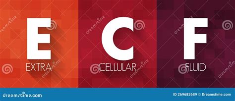 Ecf Extracellular Fluid Body Fluid That Is Not Contained In Cells Acronym Text Concept
