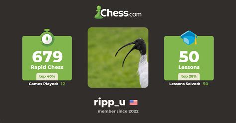 Rippu Chess Profile