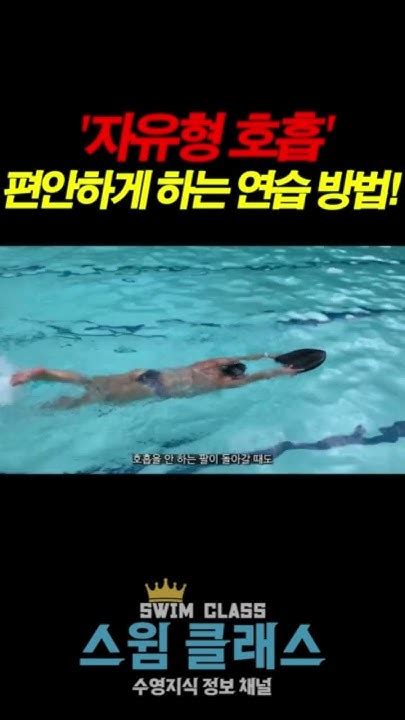 편안한 자유형을 하기 위한 자유형 호흡 연습방법 Youtube