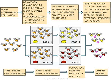 Reproductive Isolation Mechanisms