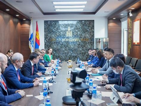 Монгол Австрийн эрүүл мэндийн салбарын хамтын ажиллагааг гүнзгийрүүлэх чиглэлээр санал